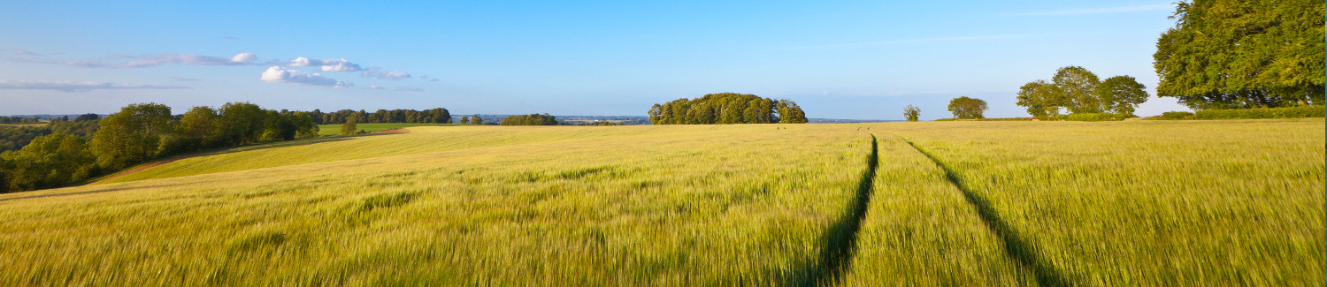 Home - Berkley Re - North America